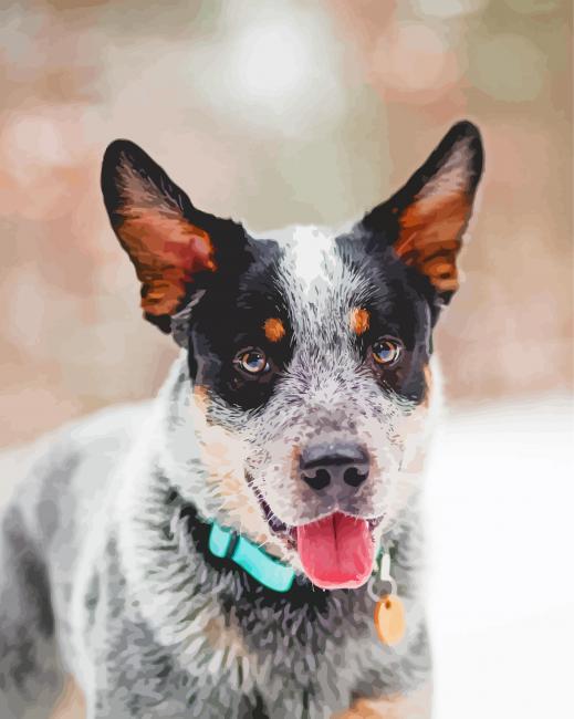 Australian Cattle Dog Animal Paint By Numbers Painting By Numbers Australian Cattle Dog Animal Paint By Numbers Painting By Numbers