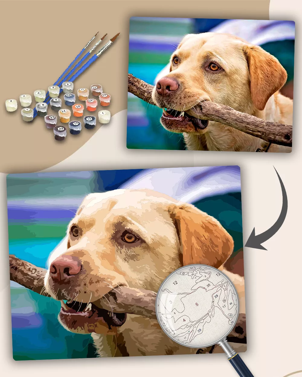 Paint By Numbers Custom Pets - Painting By Numbers